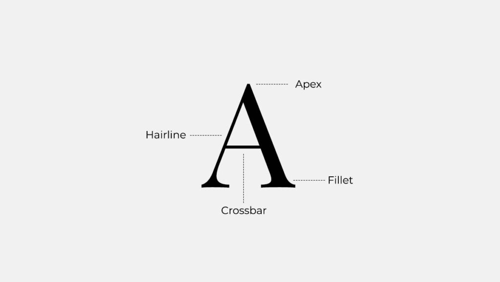 Anatomy of a Letterform – Aditya Taya
