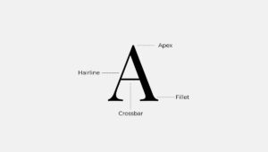 Anatomy of a Letterform – Aditya Taya