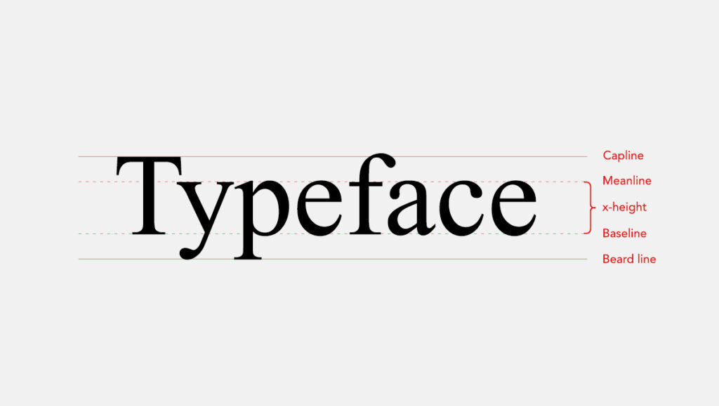 Anatomy of a Letterform – Aditya Taya