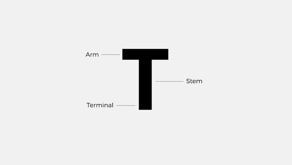 Anatomy of a Letterform – Aditya Taya